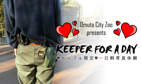 TOP - 大牟田市動物園 -Omuta city zoo-