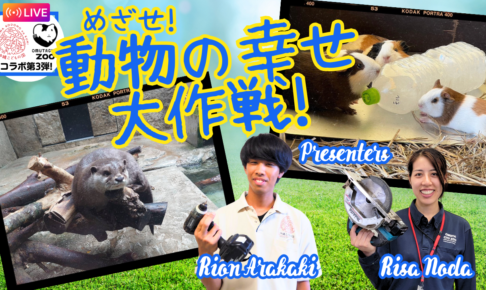 TOP - 大牟田市動物園 -Omuta city zoo-