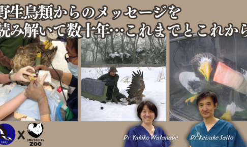 TOP - 大牟田市動物園 -Omuta city zoo-