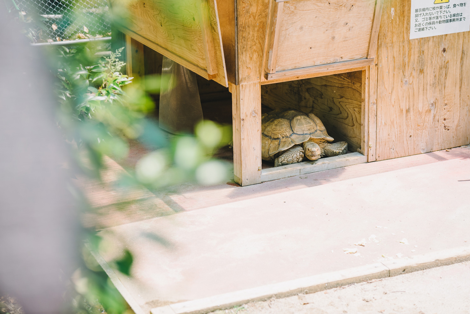 TOP - 大牟田市動物園 -Omuta city zoo-