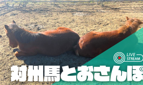 TOP - 大牟田市動物園 -Omuta city zoo-