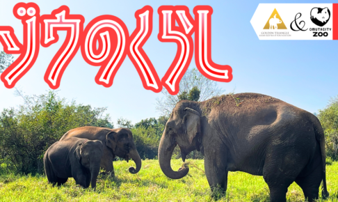 TOP - 大牟田市動物園 -Omuta city zoo-