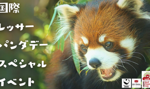 TOP - 大牟田市動物園 -Omuta city zoo-