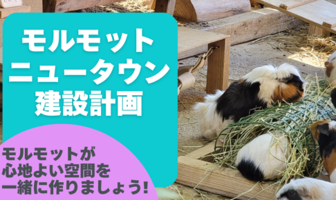 大牟田市動物園 Omuta City Zoo