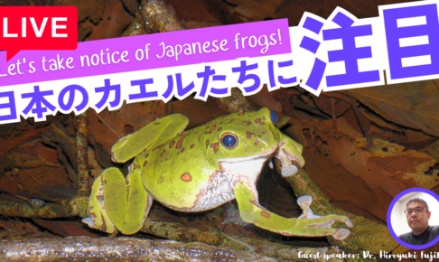 大牟田市動物園 Omuta City Zoo